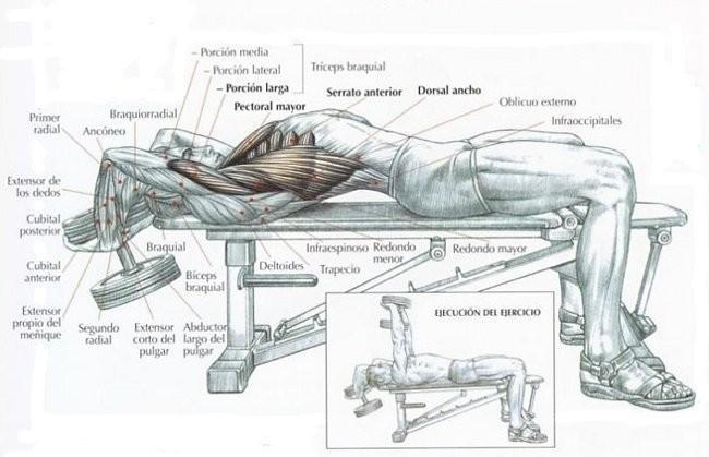 Pullover: ¿un ejercicio recomendado?