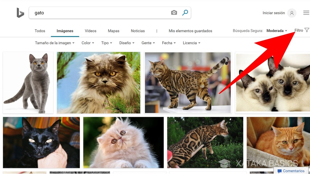 Cómo buscar una imagen en Internet