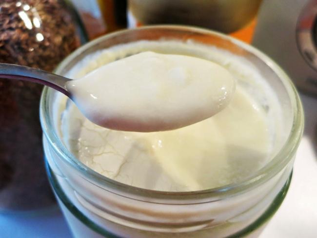 El jocoque, ¿Mexicano o árabe?