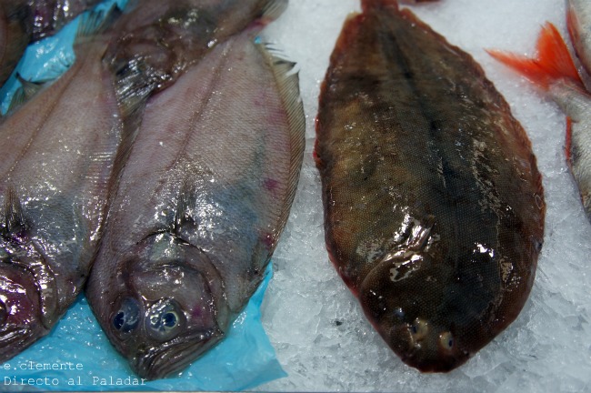 Conociendo pescados II: El lenguado y el gallo