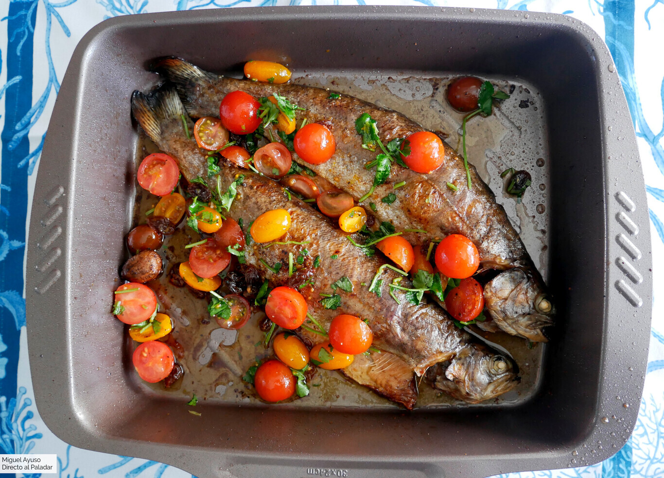 Trucha, un pescado de río a reivindicar: qué es, cómo cocinarla y seis ...