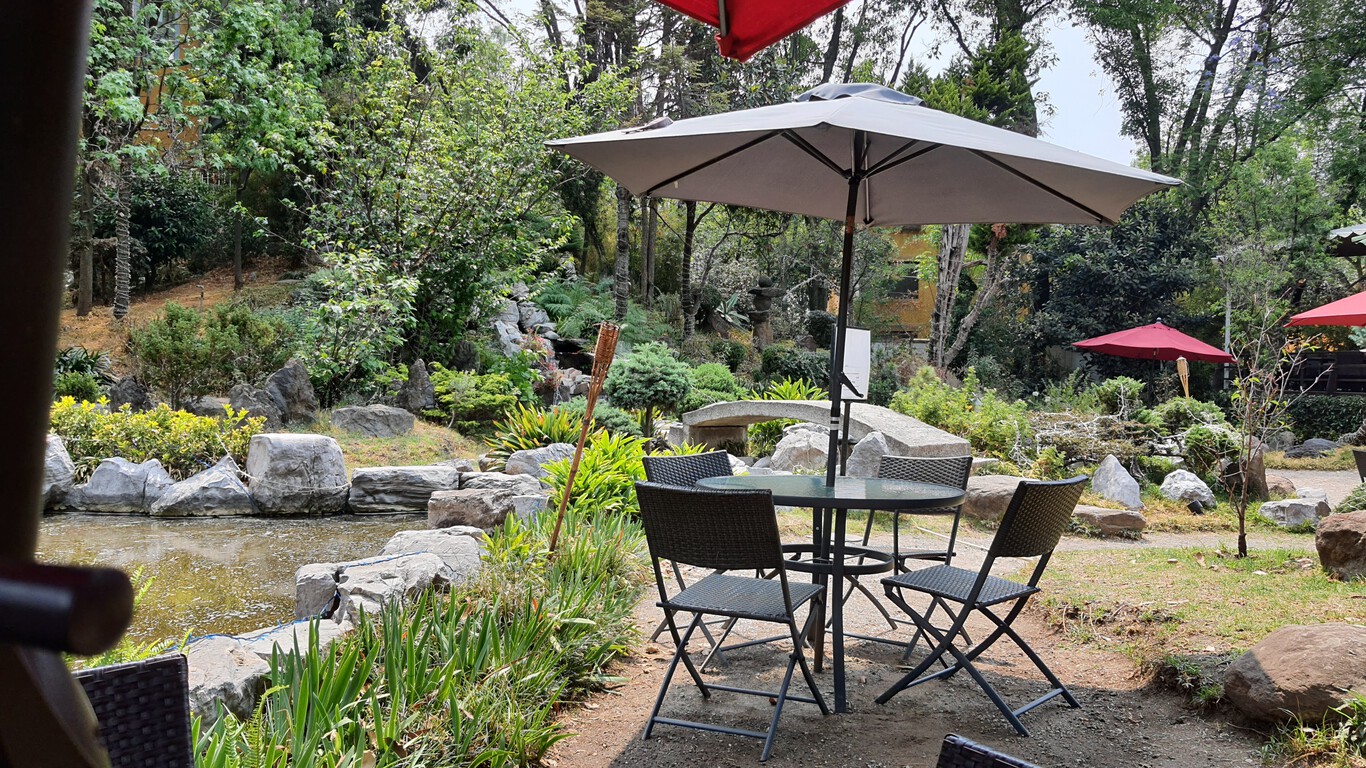 Así es ICHI, el restaurante japonés con más historia de la CDMX donde preparan el más rico y ...