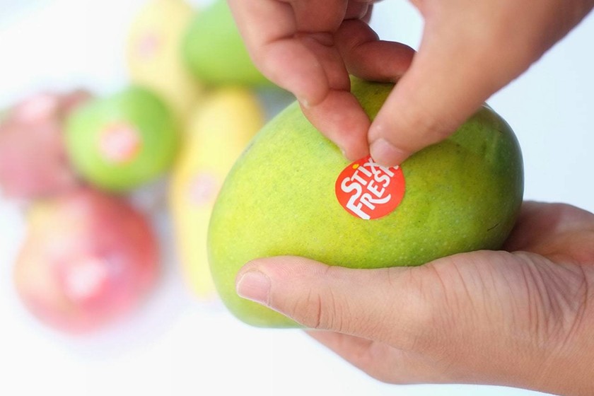 Stixfresh, los stickers que prometen mantener la fruta fresca por dos ...