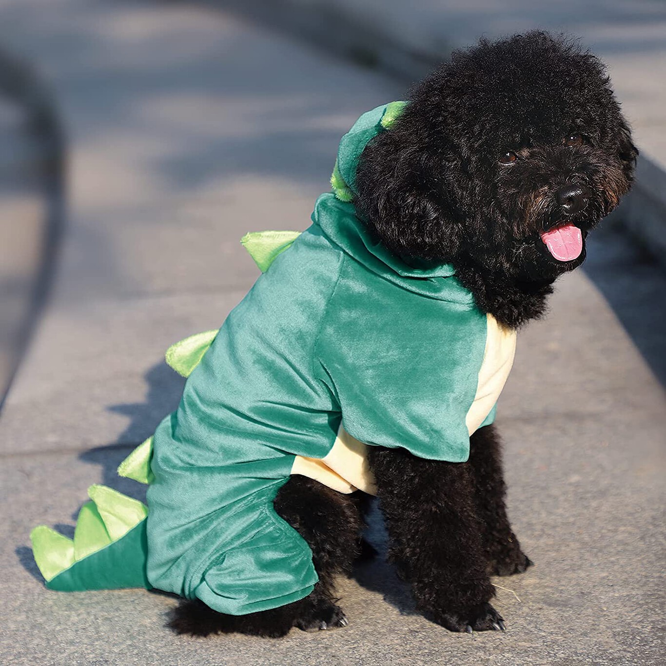 Siete disfraces para perros y gatos con los que celebrar Carnaval con ...