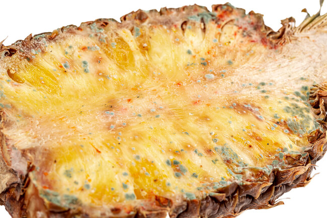 Moho En Frutas En Crecimiento Un Primer Plano De Peras Que Muestra El