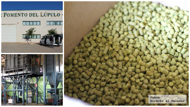 El lúpulo (II) El Oro verde: Su cultivo y transformación en pellets en ...