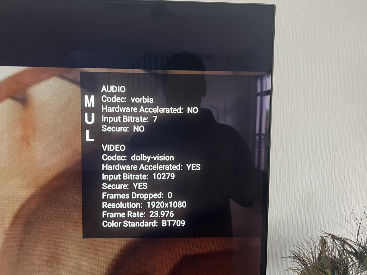 Tras años con Netflix en 4K, he visto una de sus películas en 1080p y ...