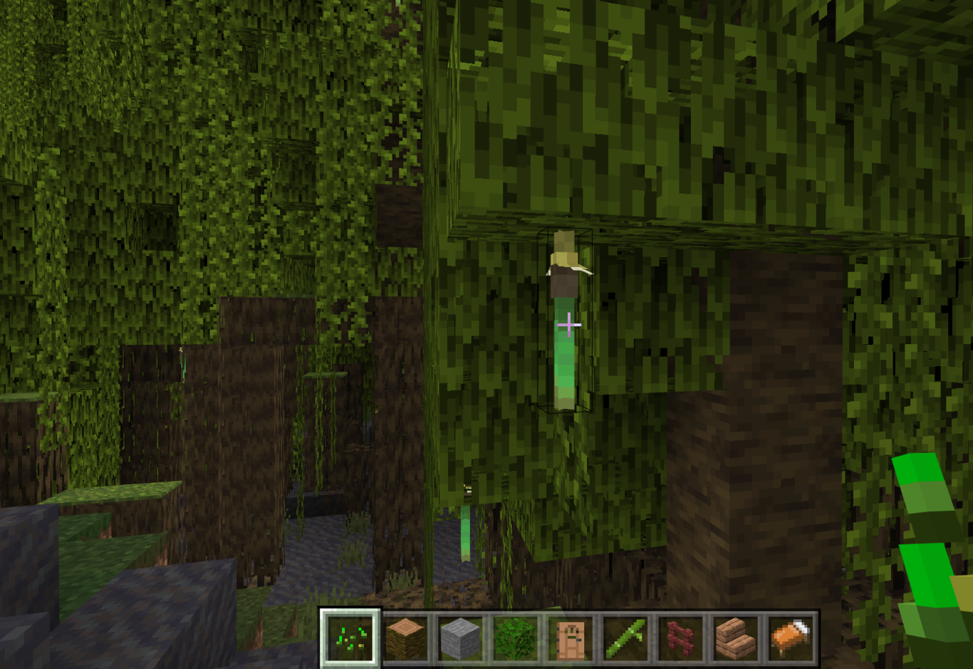 Minecraft - Cómo encontrar los manglares y las semillas de árboles ...