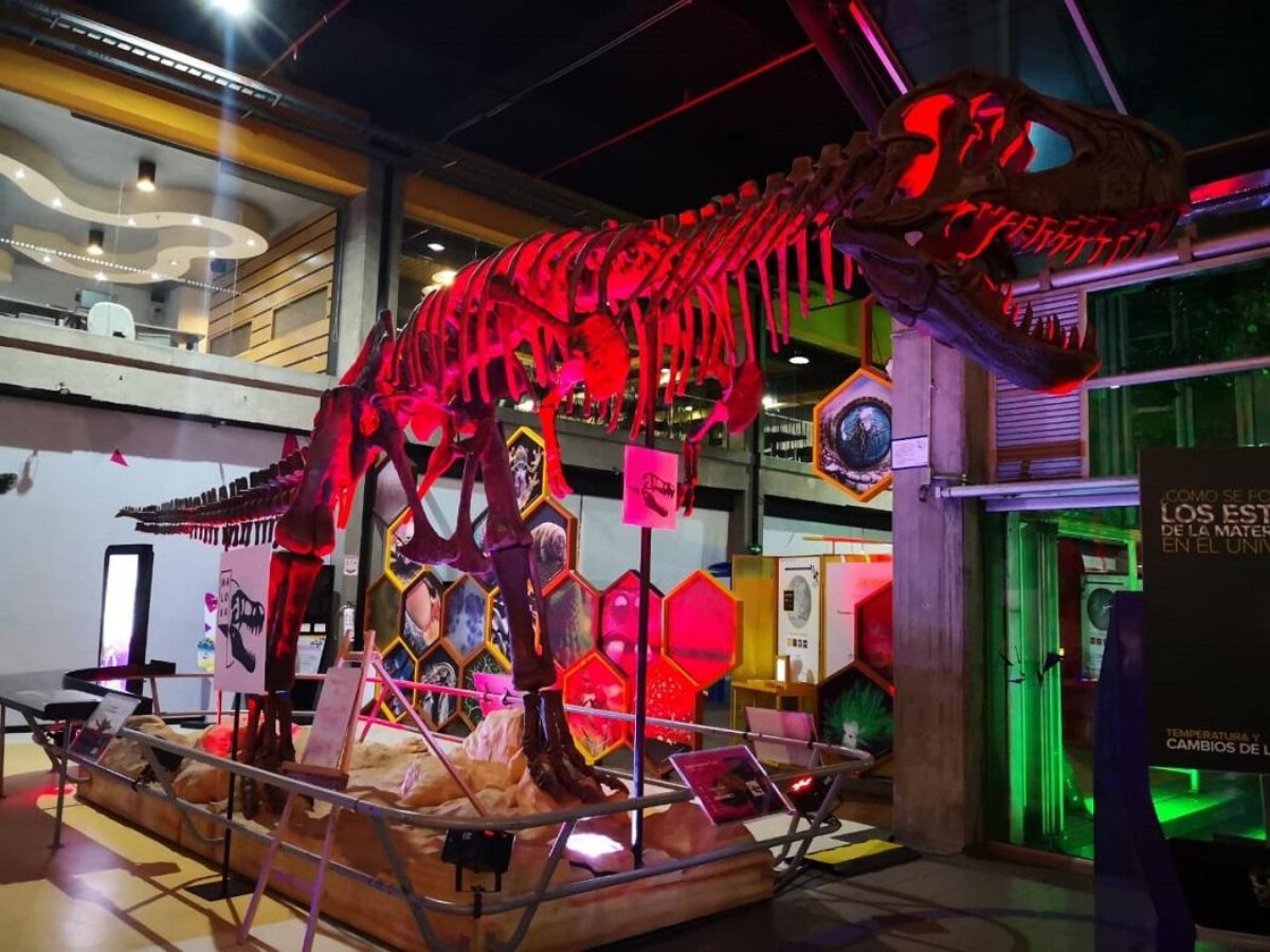 Experiencias interactivas, cine inmersivo y mucha ciencia: la “aventura ...