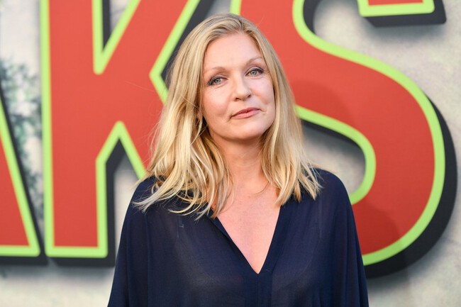 Qué fue de Sheryl Lee, la misteriosa Laura Palmer de 'Twin Peaks' que ...