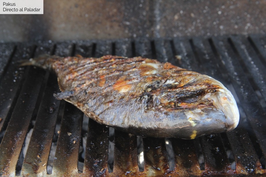 Cómo cocinar pescado a la parrilla: lo que tienes que saber para que te ...