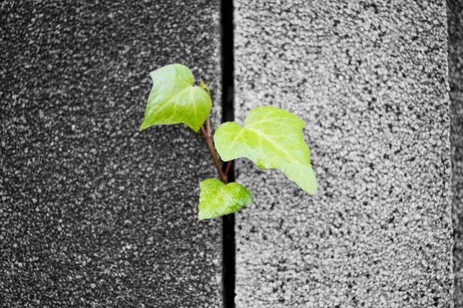 15 fotografías minimalistas para inspirarte