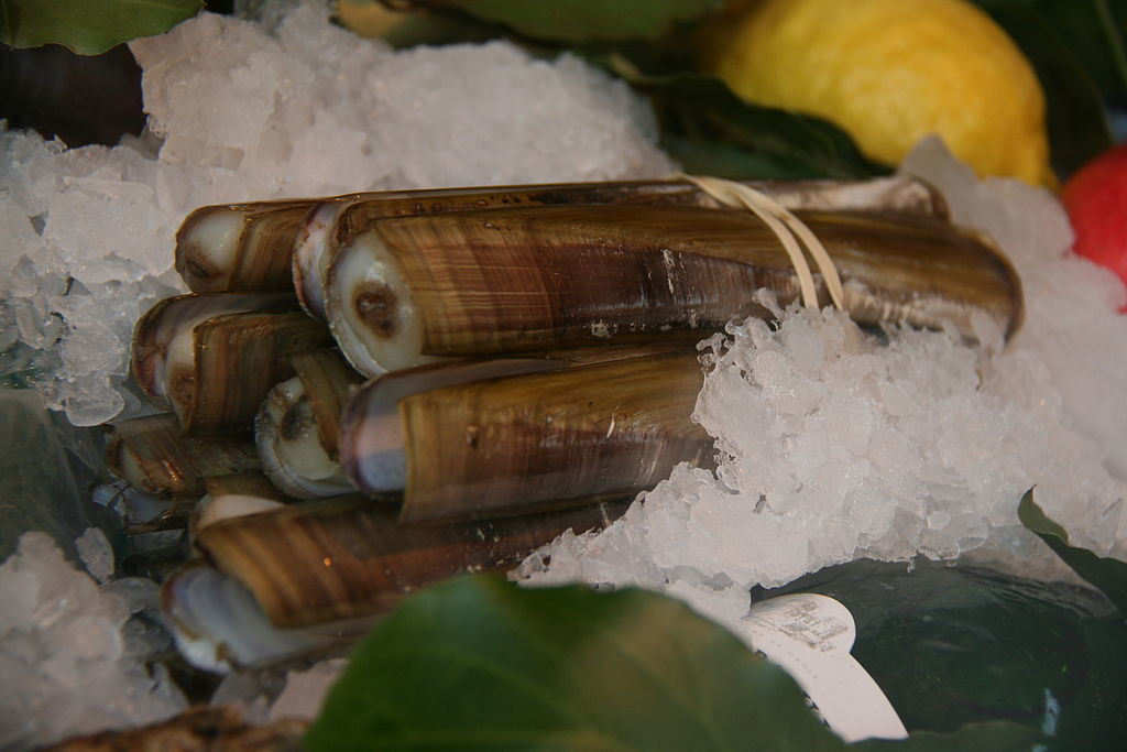 Navajas: propiedades, beneficios y su uso en la cocina