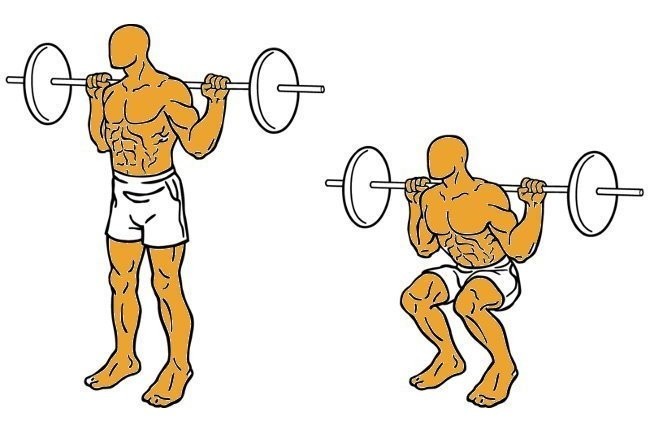 Prensa y sentadilla: las principales diferentes entre los ejercicios ...