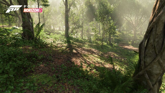 Forza Horizon 5 se luce en nuevas imágenes de su mapa de México y ...