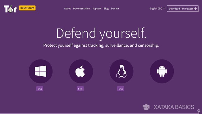 Red TOR: qué es, cómo funciona y cómo se usa