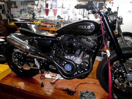 Mule Stealth, una Sportster al mas puro estilo flat track