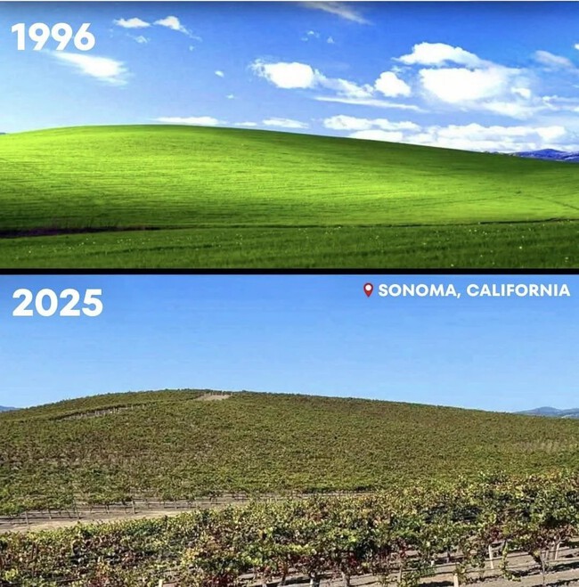 El mítico fondo de Windows XP ha cambiado radicalmente en 29 años: el ...