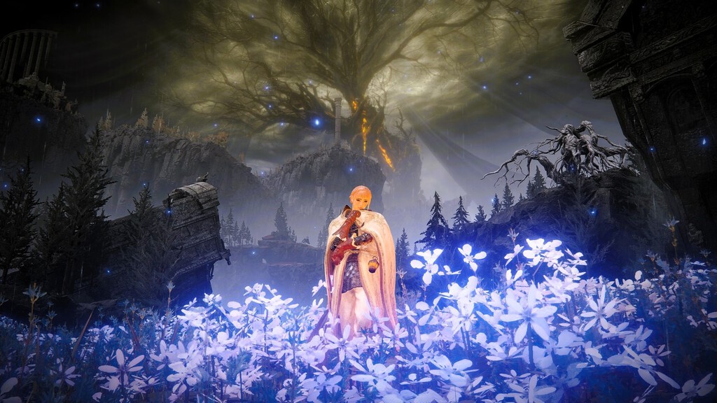 800 horas de partida después, un jugador de Elden Ring descubrió una ...