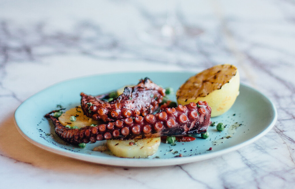 Todo sobre el pulpo: propiedades, temporada y cómo cocinar este molusco ...