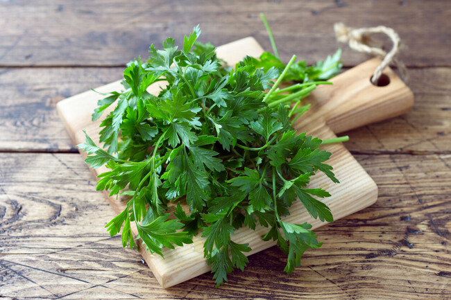 En qué se diferencia el cilantro del culantro: a pesar del parecido y ...