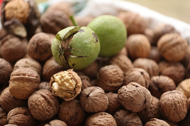 ¿Por qué es tan cara la nuez de Castilla? No creerás la respuesta