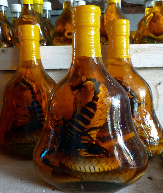 Bebidas infusionadas con insectos venenosos ¿Te atreverías a probarlas?