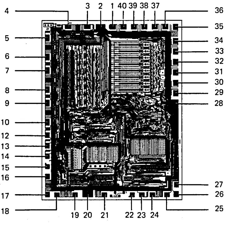 AMD es hoy un gigante de los semiconductores. En sus inicios era algo ...