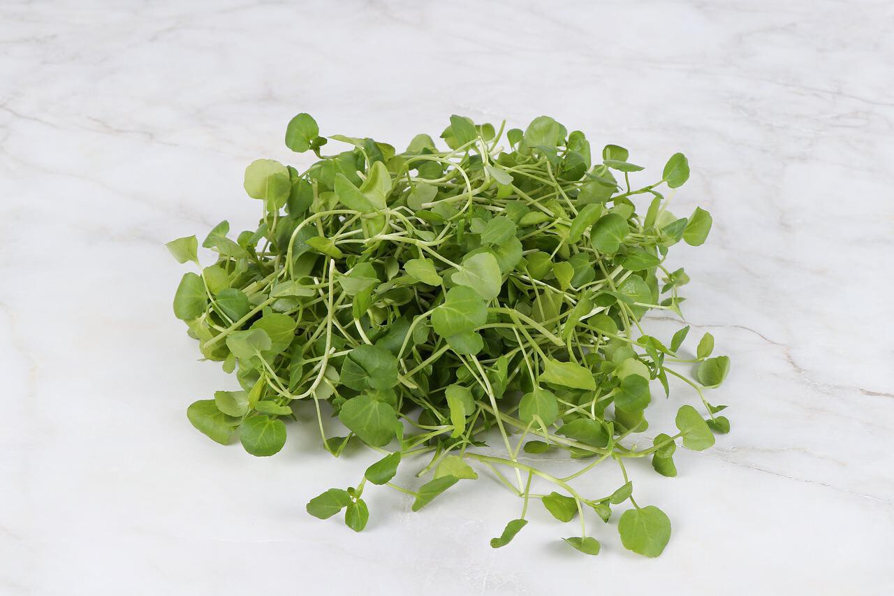 Qué son los berros, la saludable planta acuática de ligero sabor ...