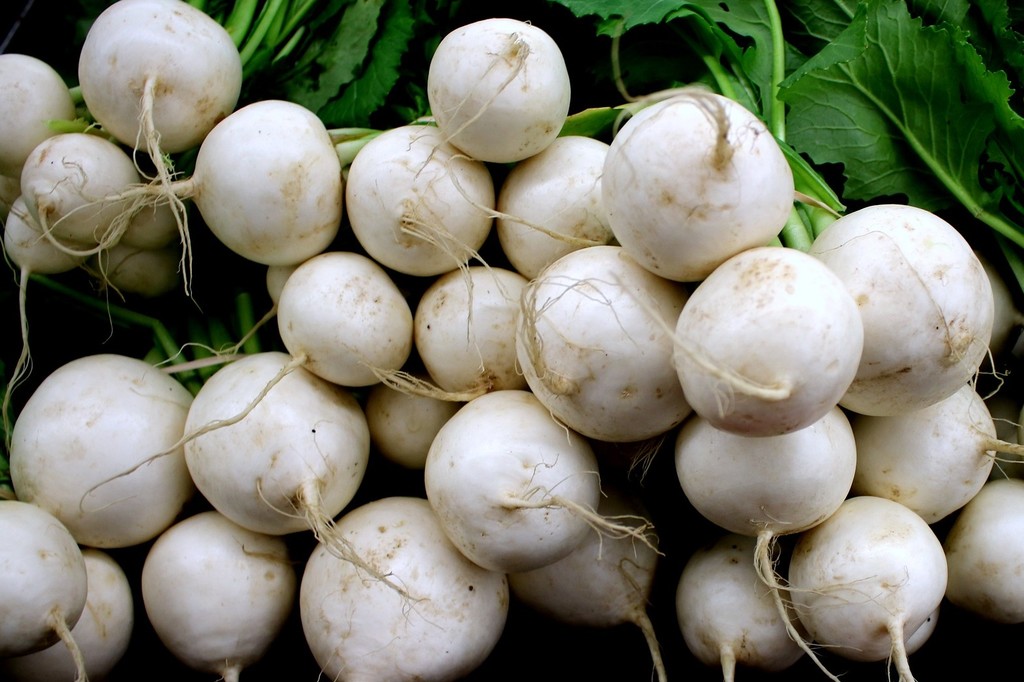 Nabo - Directo al Paladar