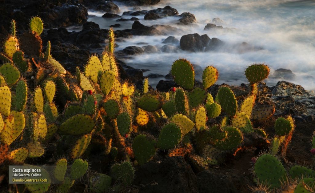 La impresionante naturaleza de México, estas son los ganadores del ...