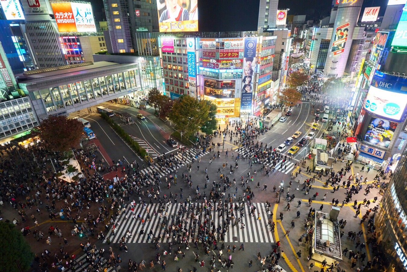 Japón está tan harto de sus turistas que va a poner a policías a ...