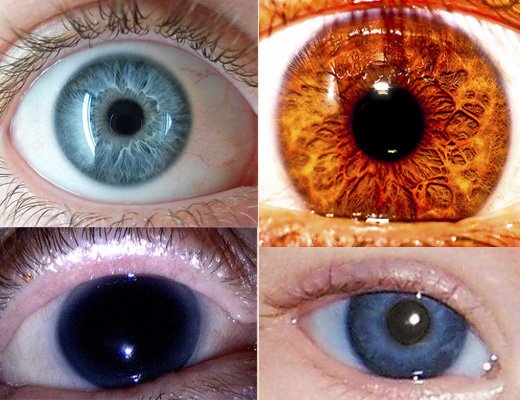 ¿De qué colores puede tener los ojos un ser humano?