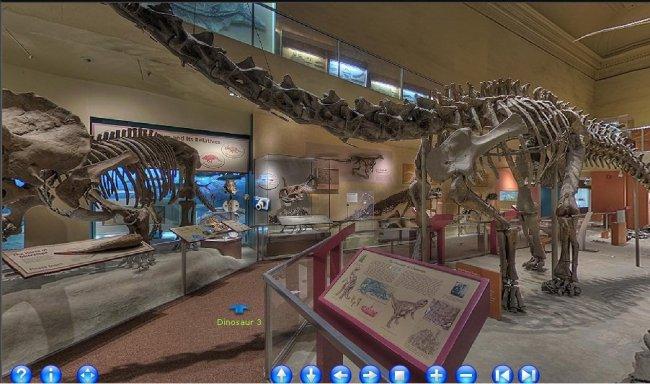 Tour virtual por el Museo Smithsonian de Historia Natural