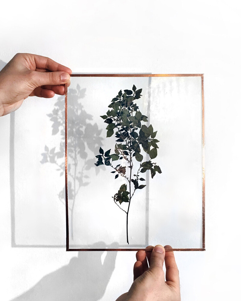 Cómo hacer cuadros preciosos con flores secas y marcos transparentes