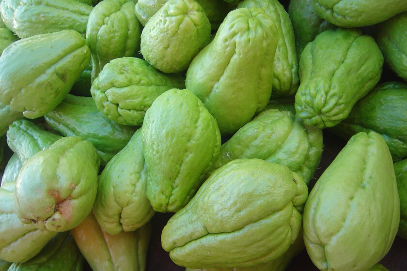 Qué es el chayote, la hortaliza prima del melón y el calabacín ...