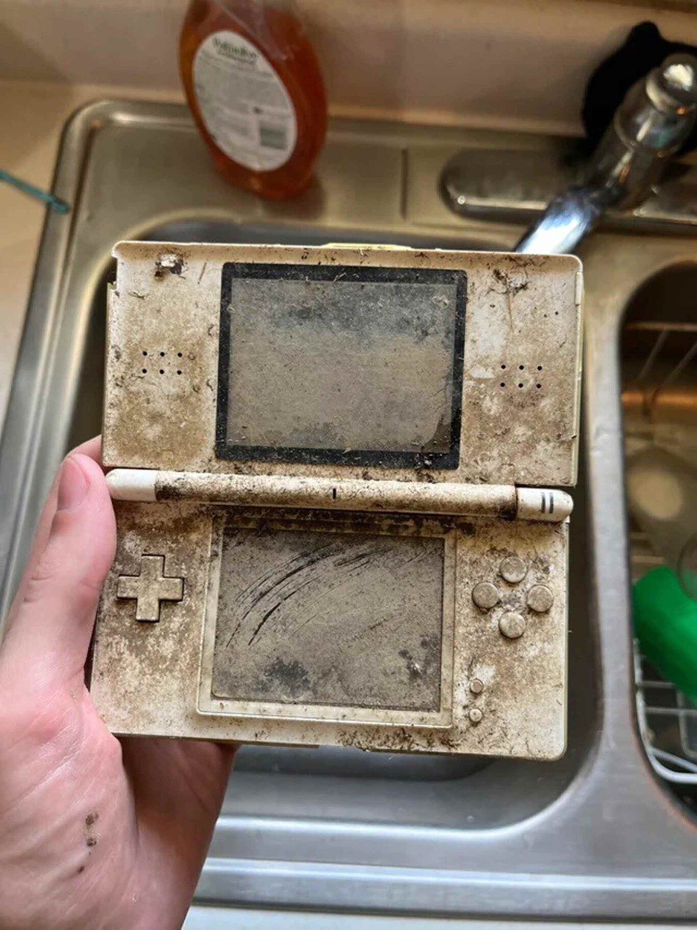 Un Jugador Creía Que Su Nintendo Ds Había Sido Robada Cuando Era Niño