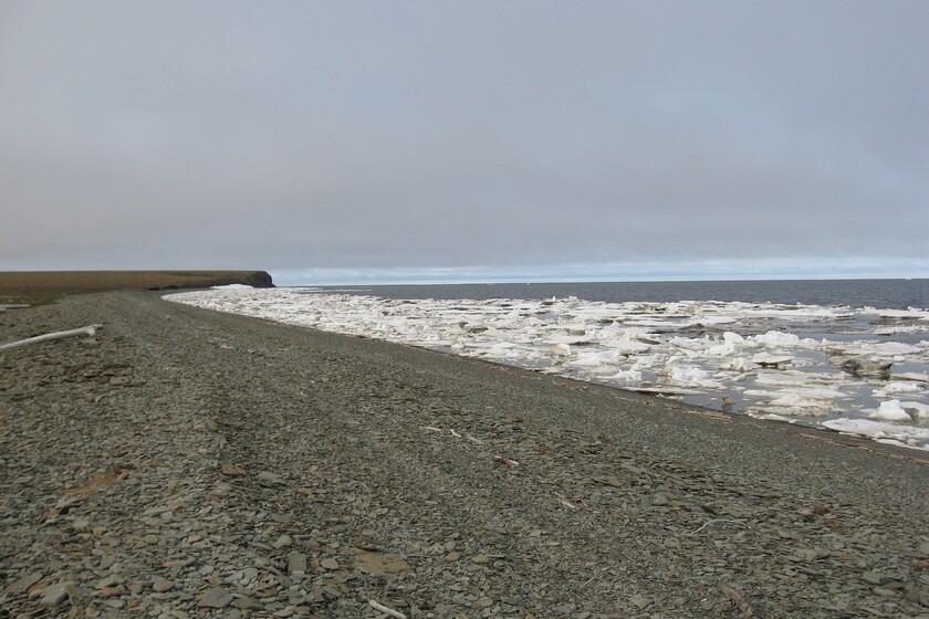 Por primera vez el Mar de Laptev en el Ártico no se ha congelado en ...