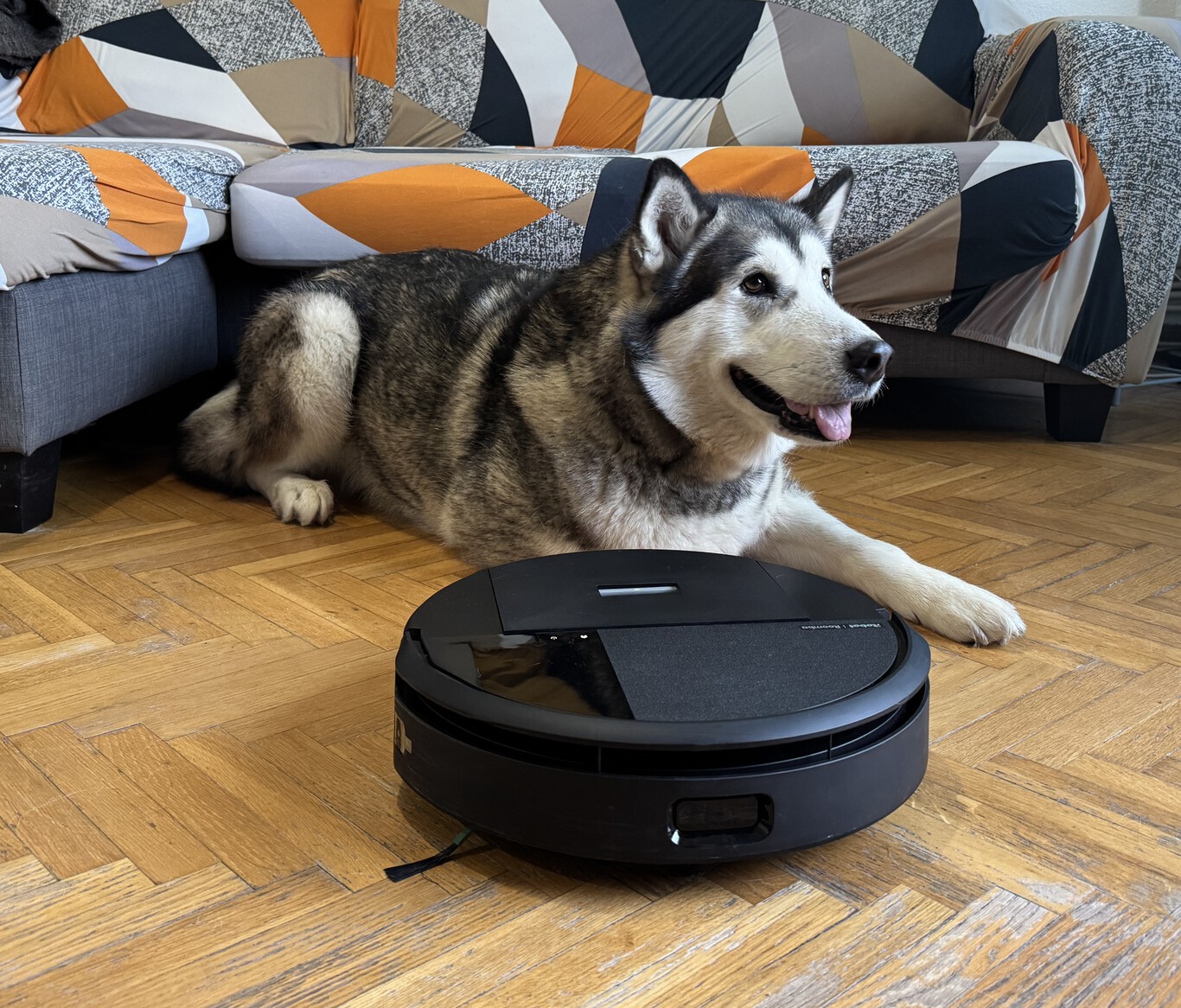 iRobot Roomba 205 Dust Compactor, análisis: review características ...