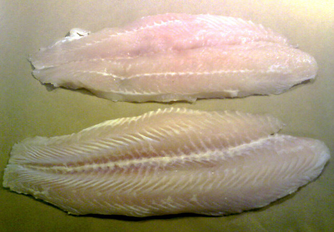 Panga: el pescado más polémico de los últimos tiempos