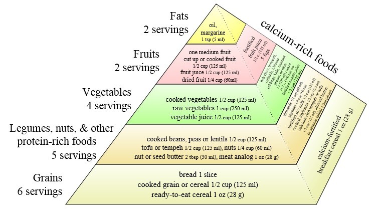 Las pirámides de la dieta vegetariana y vegana