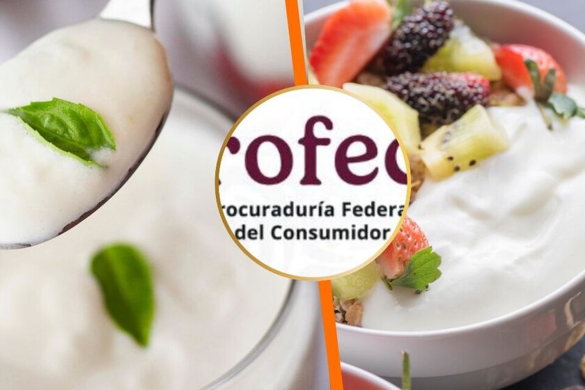 Estas son las 6 marcas de yogurt natural económicas que Profeco ...