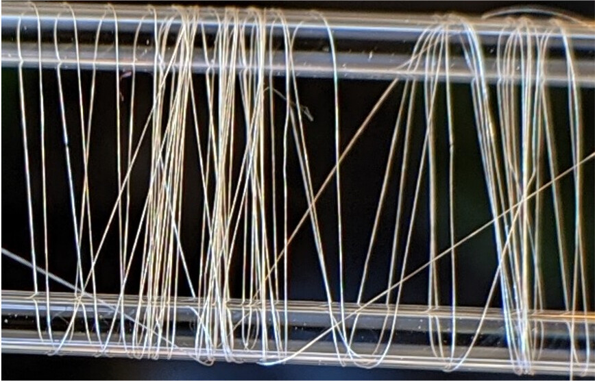 Músculos más duros que el Kevlar: crean a partir de microbios fibra ...