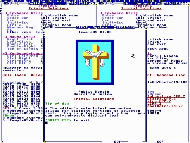 TempleOS: una rareza de sistema operativo, tan denostado como revolucionario