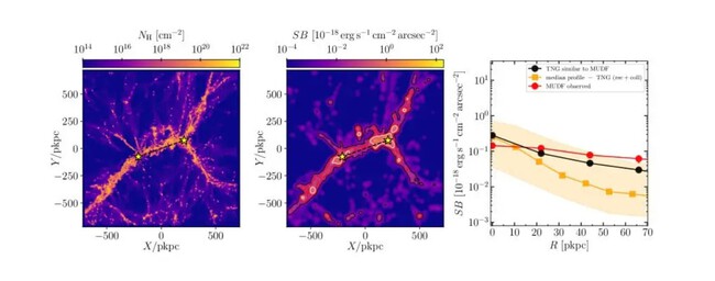 Esta es la primera imagen de la red cósmica y revela lo que nunca ...