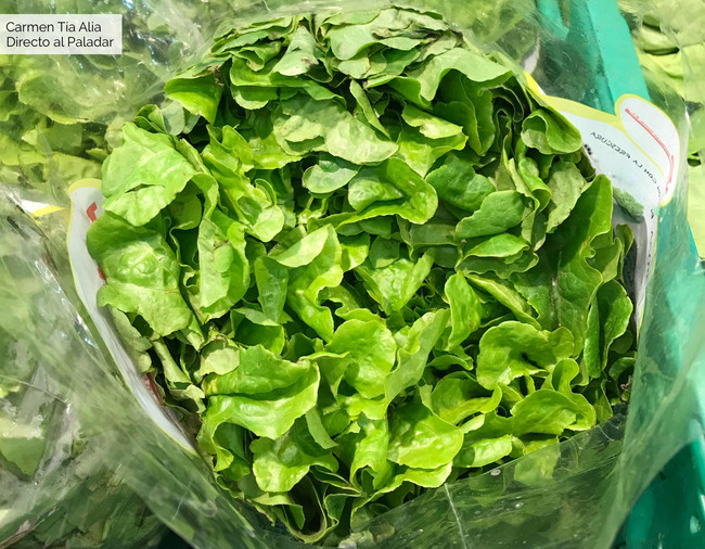 Muerte a la Iceberg: estas son las mejores ocho variedades de lechuga ...