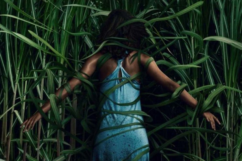Sitges 2019: 'En la hierba alta'. Netflix vuelve a acertar adaptando a ...