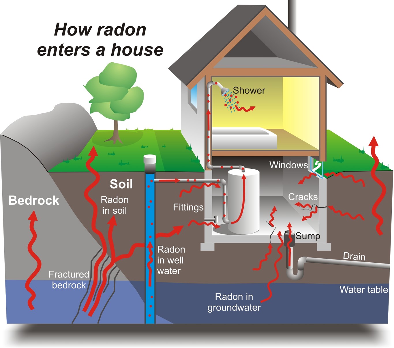 Radón: riesgos, problemas y soluciones del gas radioactivo que la Unión ...