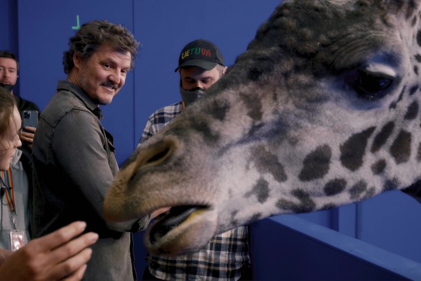 La jirafa de The Last of Us no es un animatrónico, es de verdad. Se ...