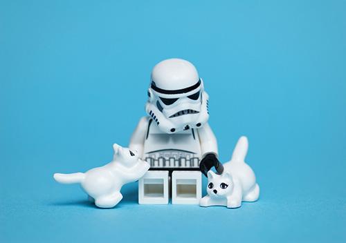 Descubriendo fotógrafos: Mike Stimpson